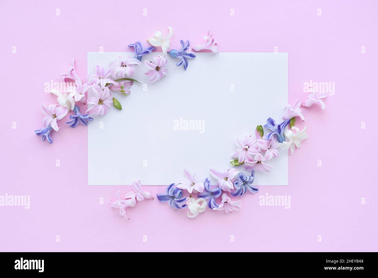 Flowers composition. Frame made of hyacinth flowers on pink background ...