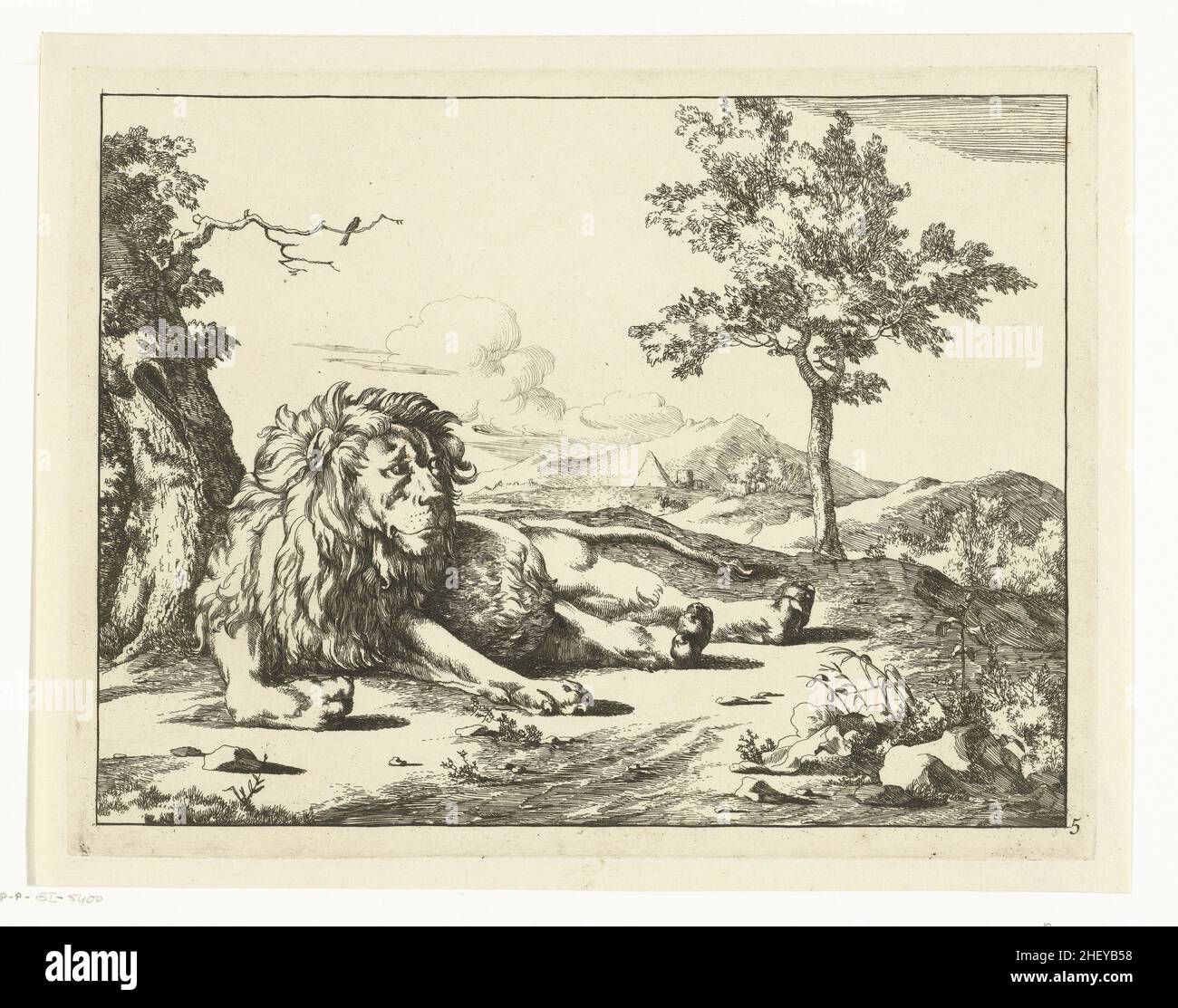 Lion sideways hi-res stock photography and images - Alamy