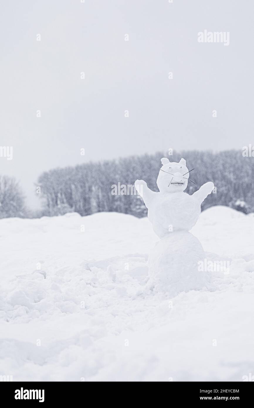 The figure of funny snowman animal in snowy field Stock Photo - Alamy