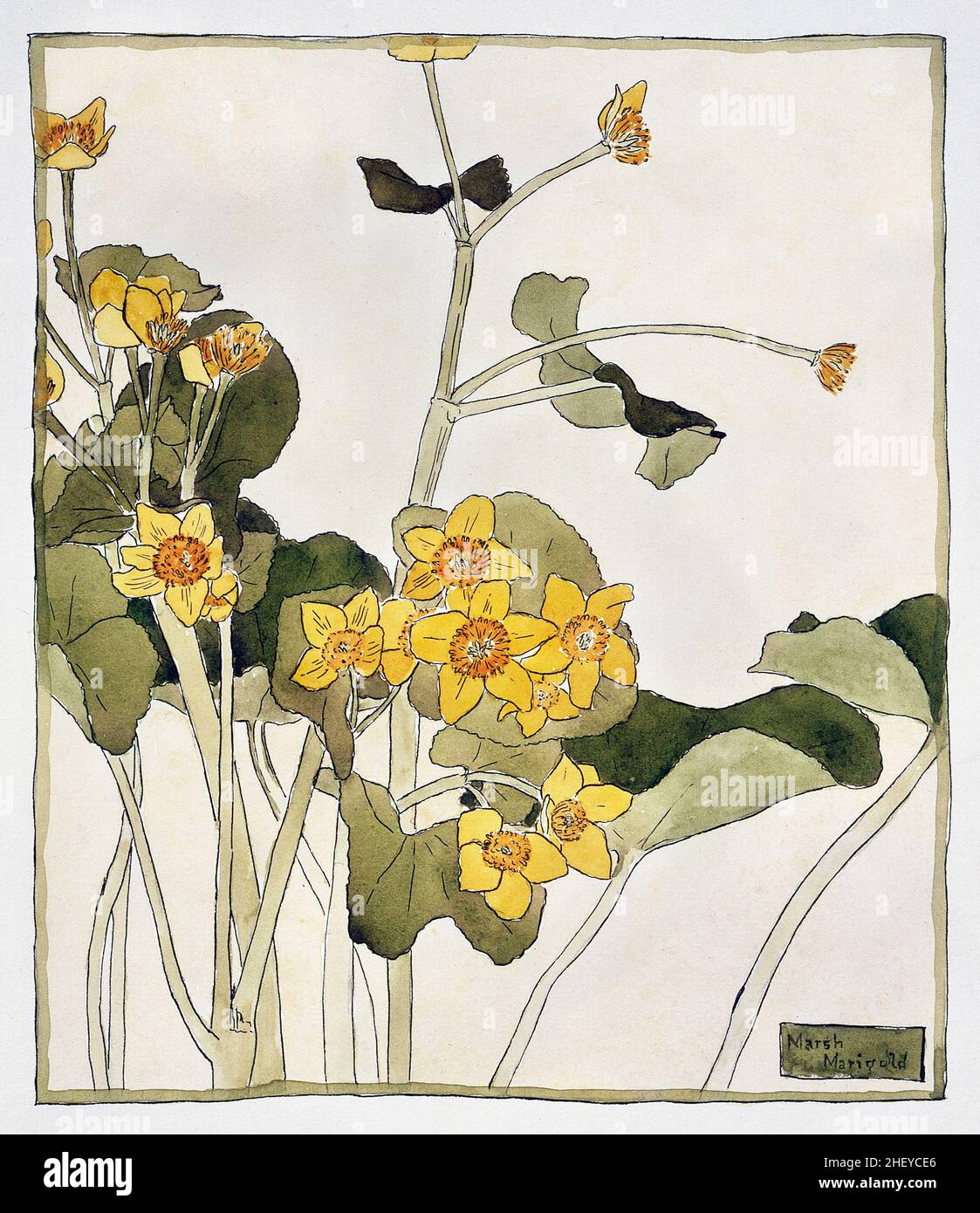 Hannah borger overbeck hi-res stock photography and images - Alamy