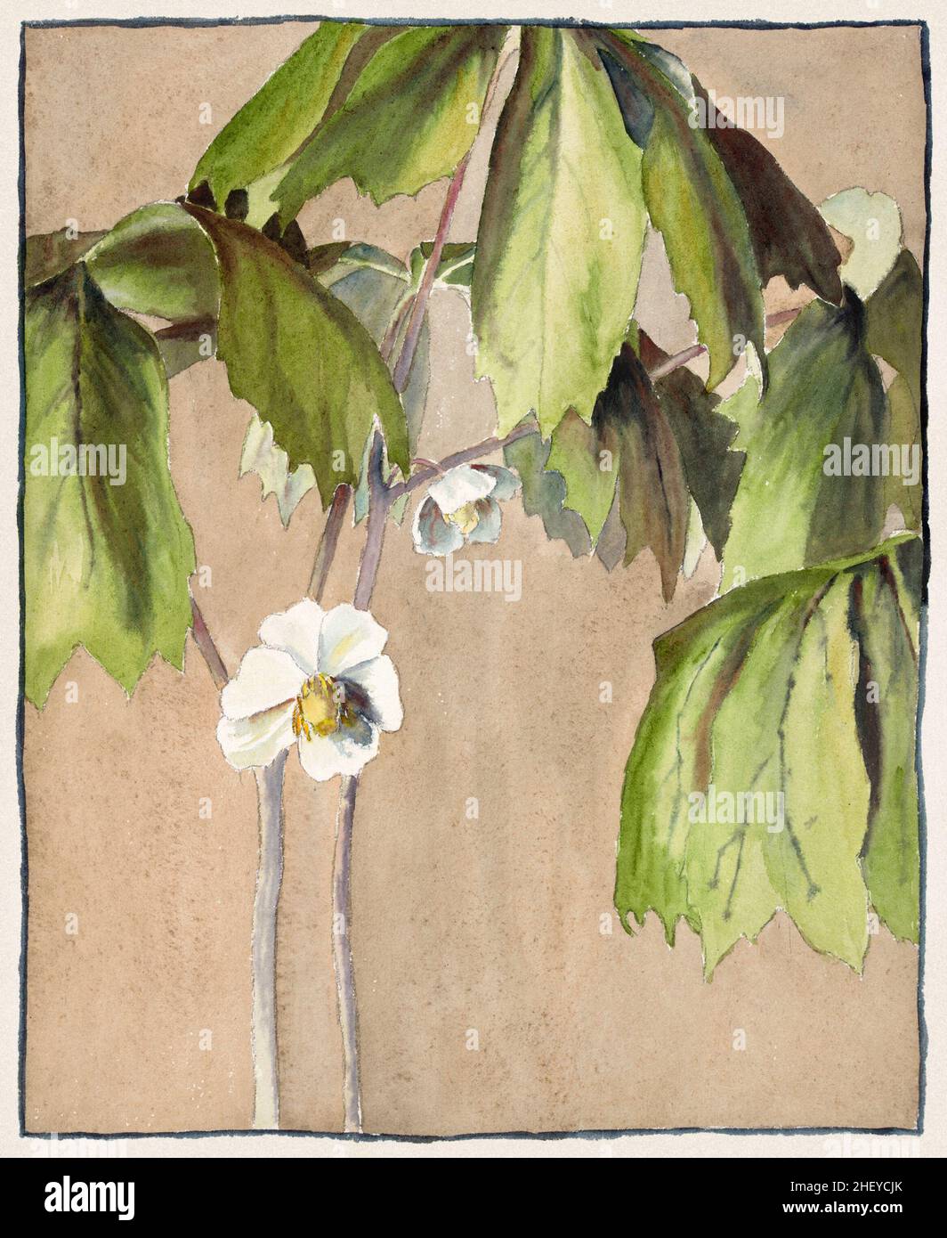 Hannah borger overbeck hi-res stock photography and images - Alamy