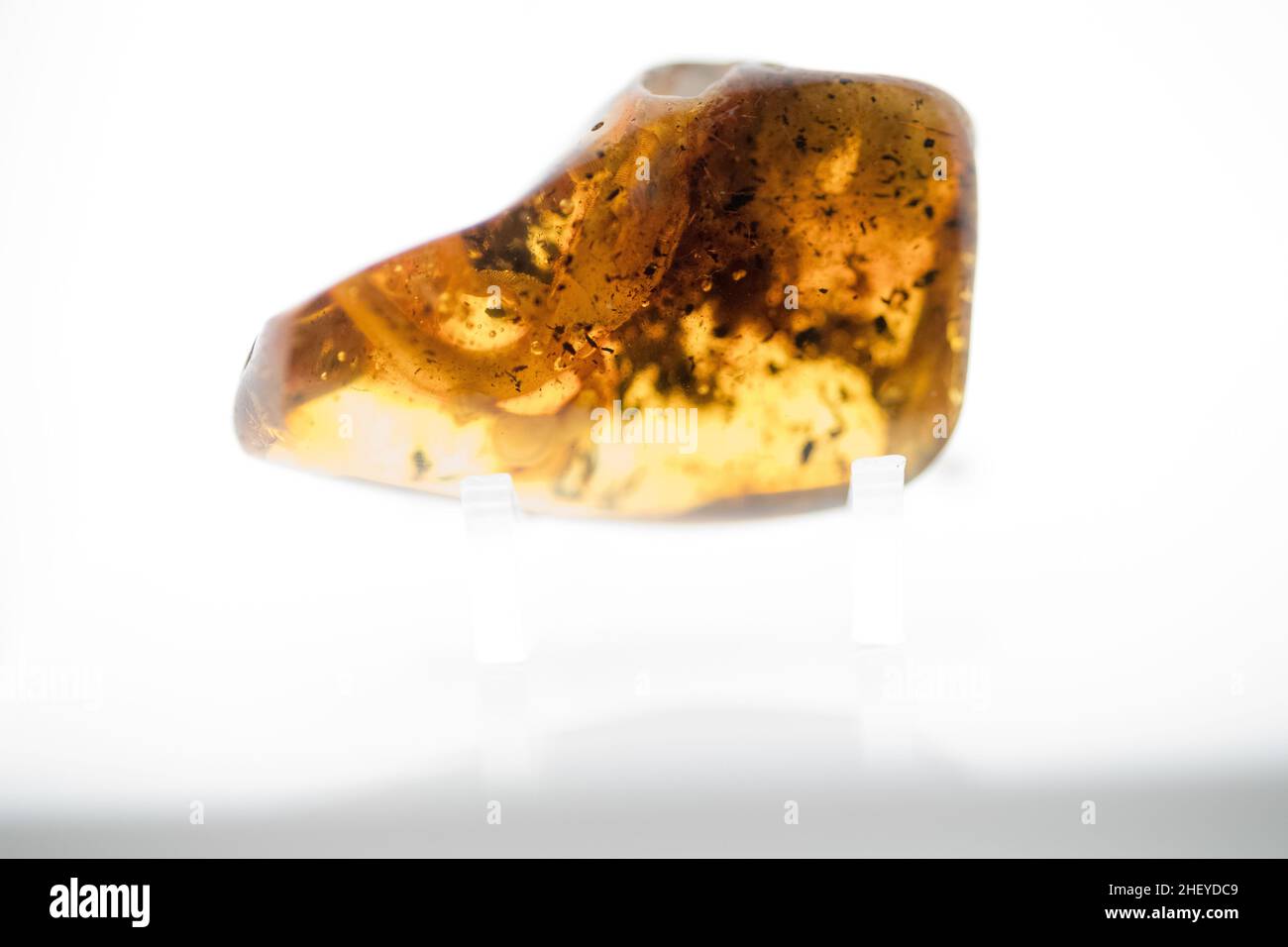 Amber inclusion in Amber Museum in Gdansk, Poland, © Wojciech Strozyk ...