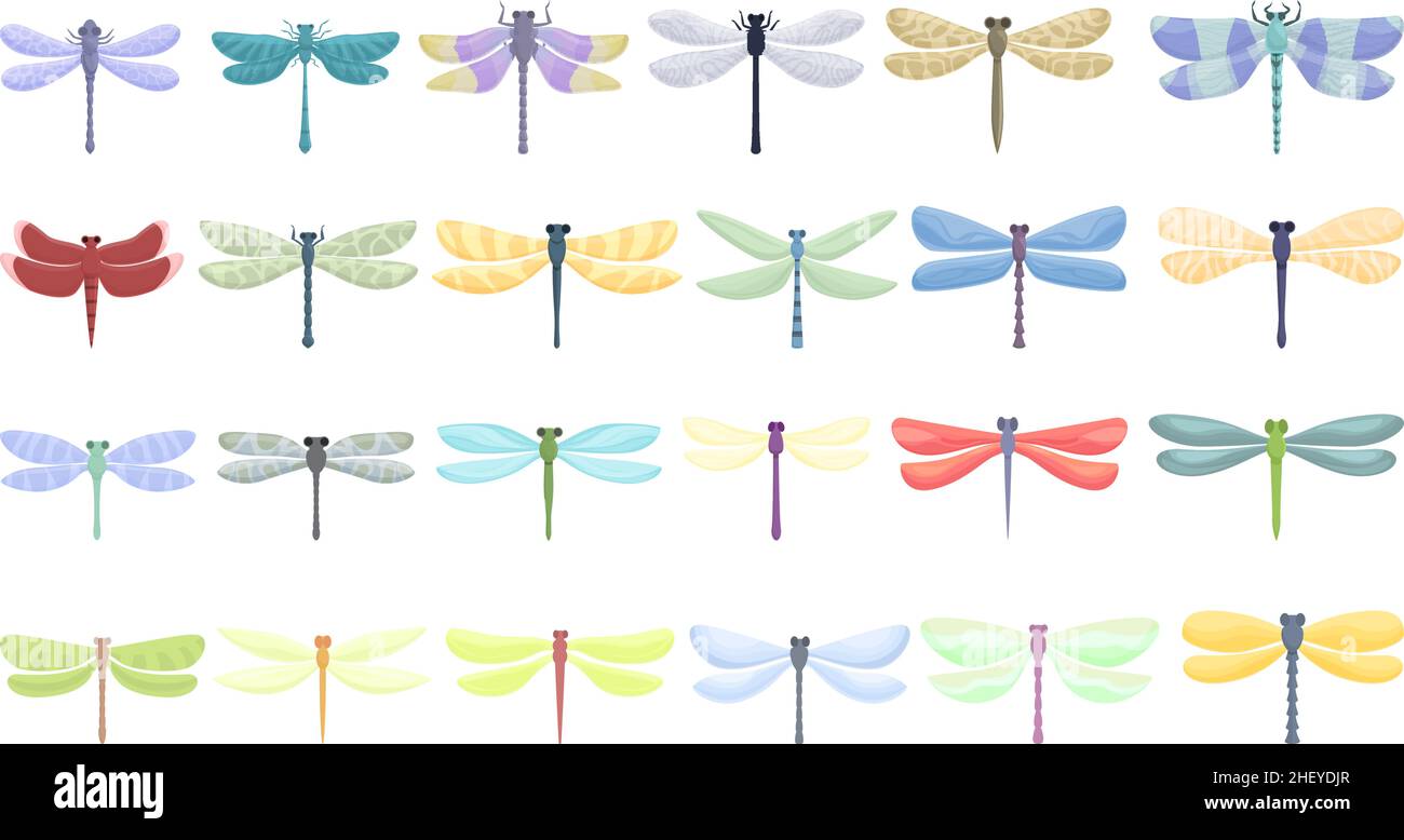 Dragonfly icons set cartoon vector. Nature animal. Fly bug Stock Vector ...