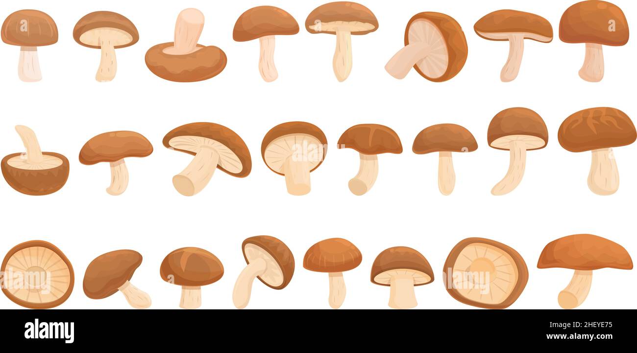 Shiitake mushroom icons set cartoon vector. Fungus plant. Autumn food ...