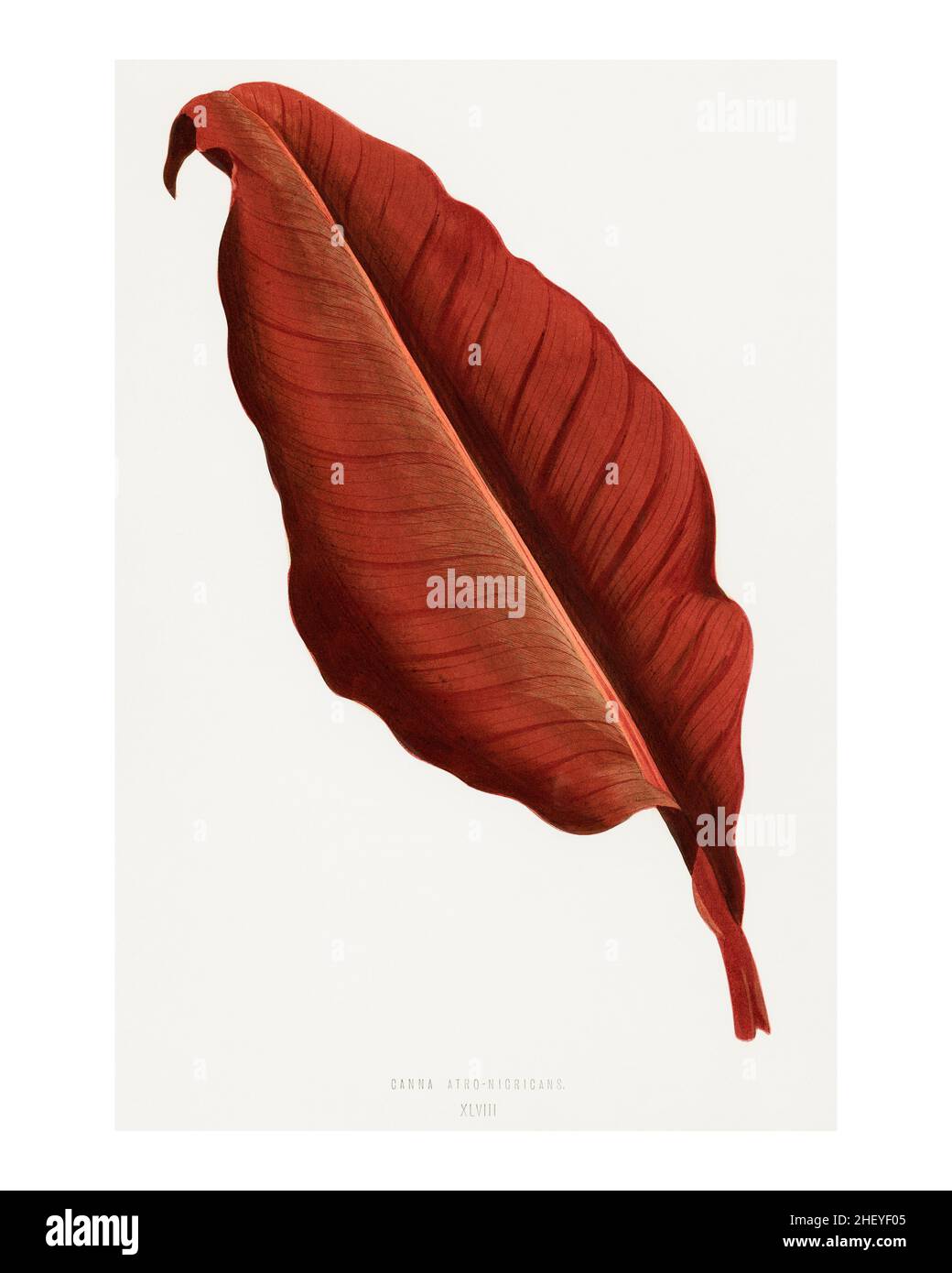 Atro hi-res stock photography and images - Alamy