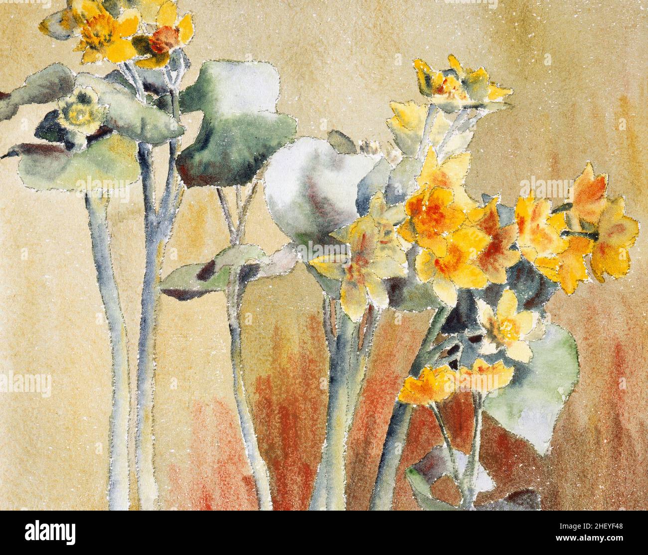 Hannah borger overbeck hi-res stock photography and images - Alamy