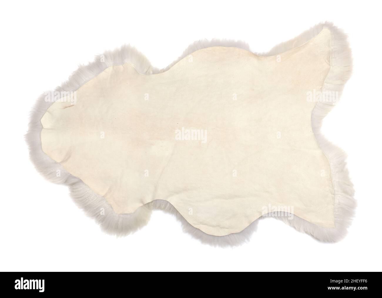White sheep skin back side isolated on white background Stock Photo - Alamy