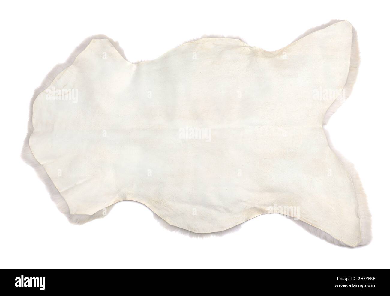 White sheep skin back side isolated on white background Stock Photo - Alamy