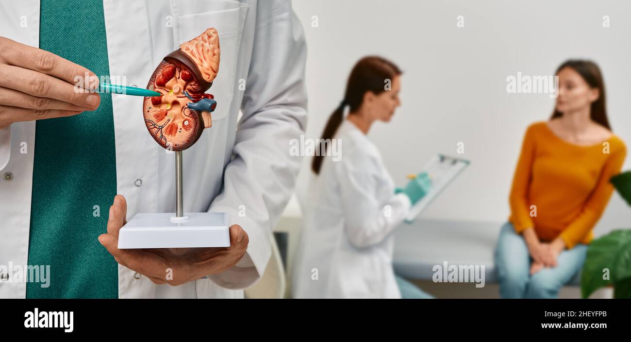 Urology and treatment of kidney disease. doctor analyzing of patient ...