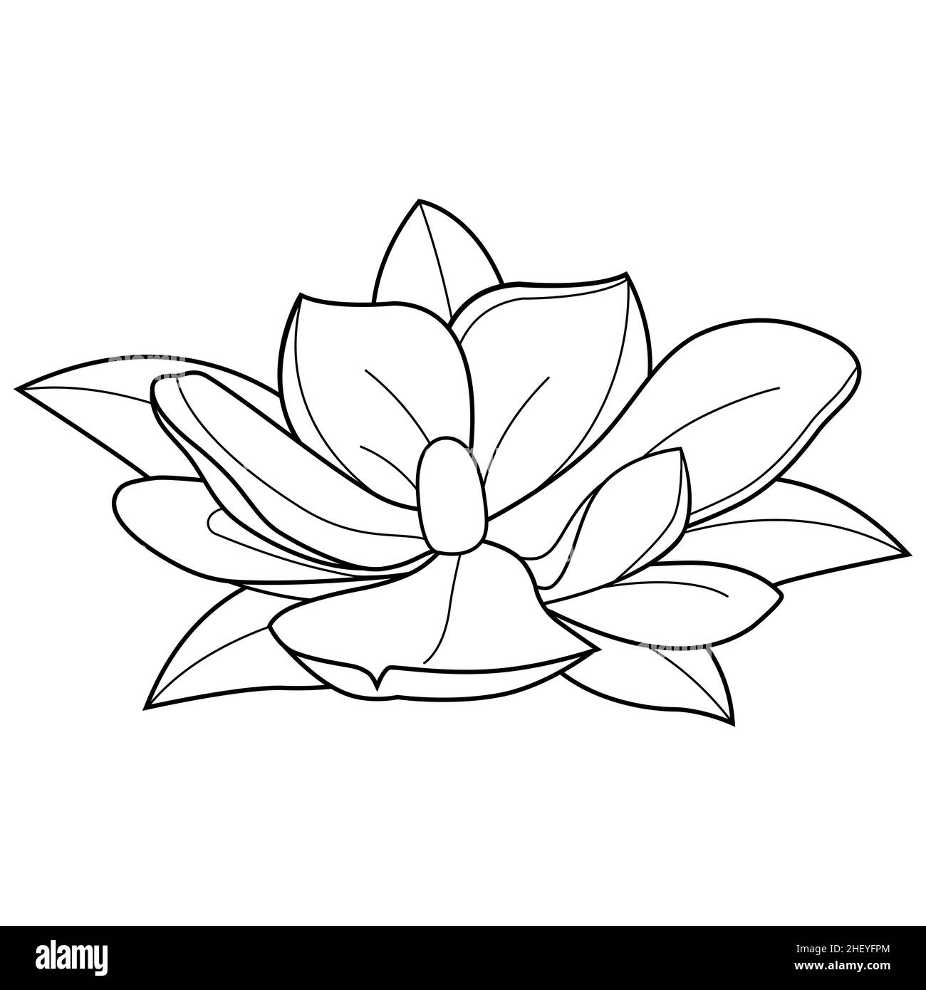 Magnolia Flower Coloring Page