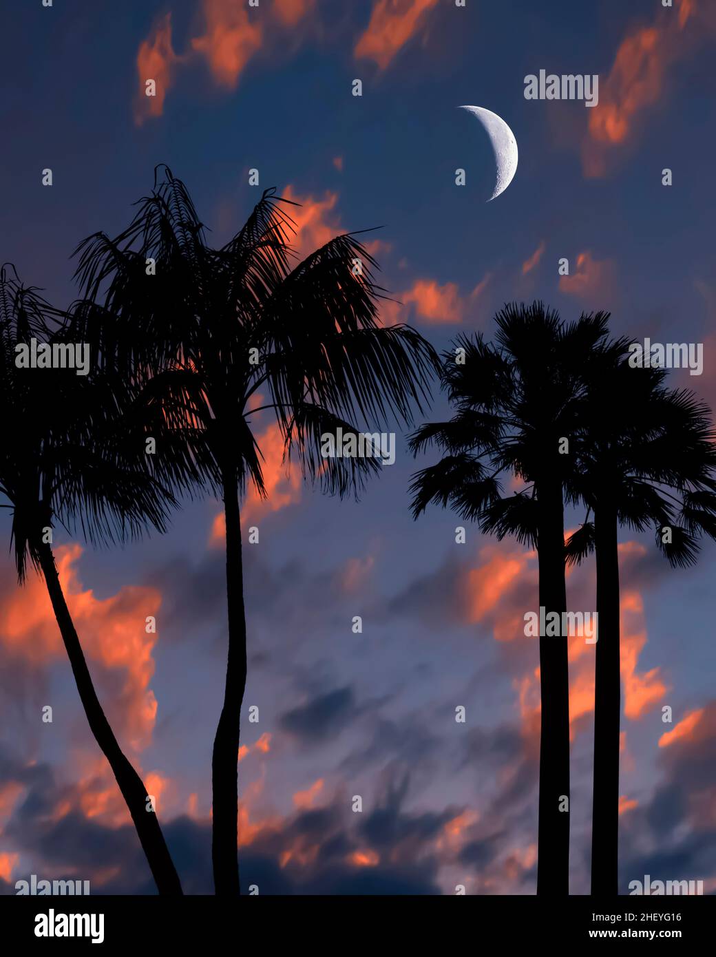Night tropical hi-res stock photography and images - Alamy