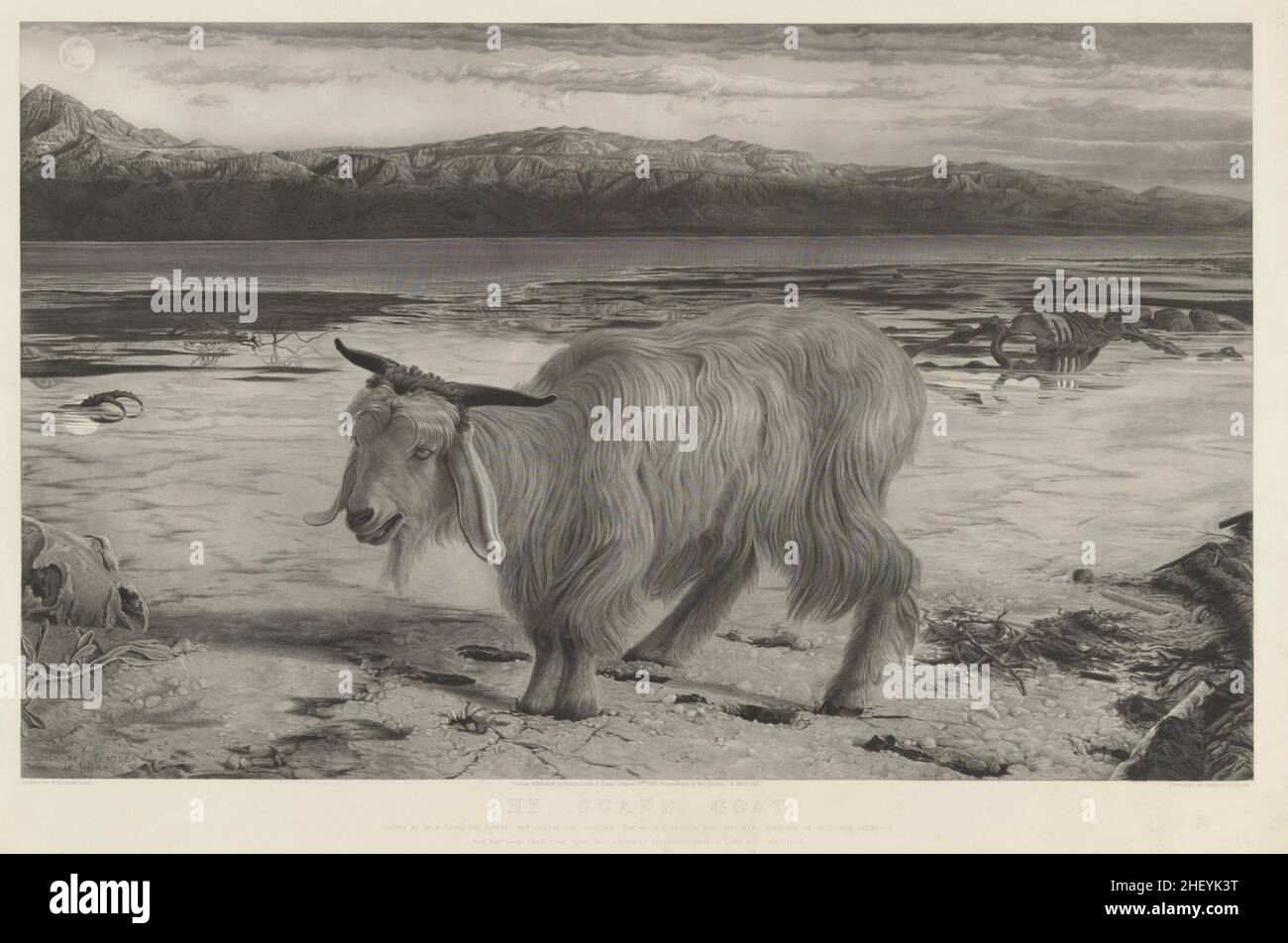 Mottram charles hi-res stock photography and images - Alamy