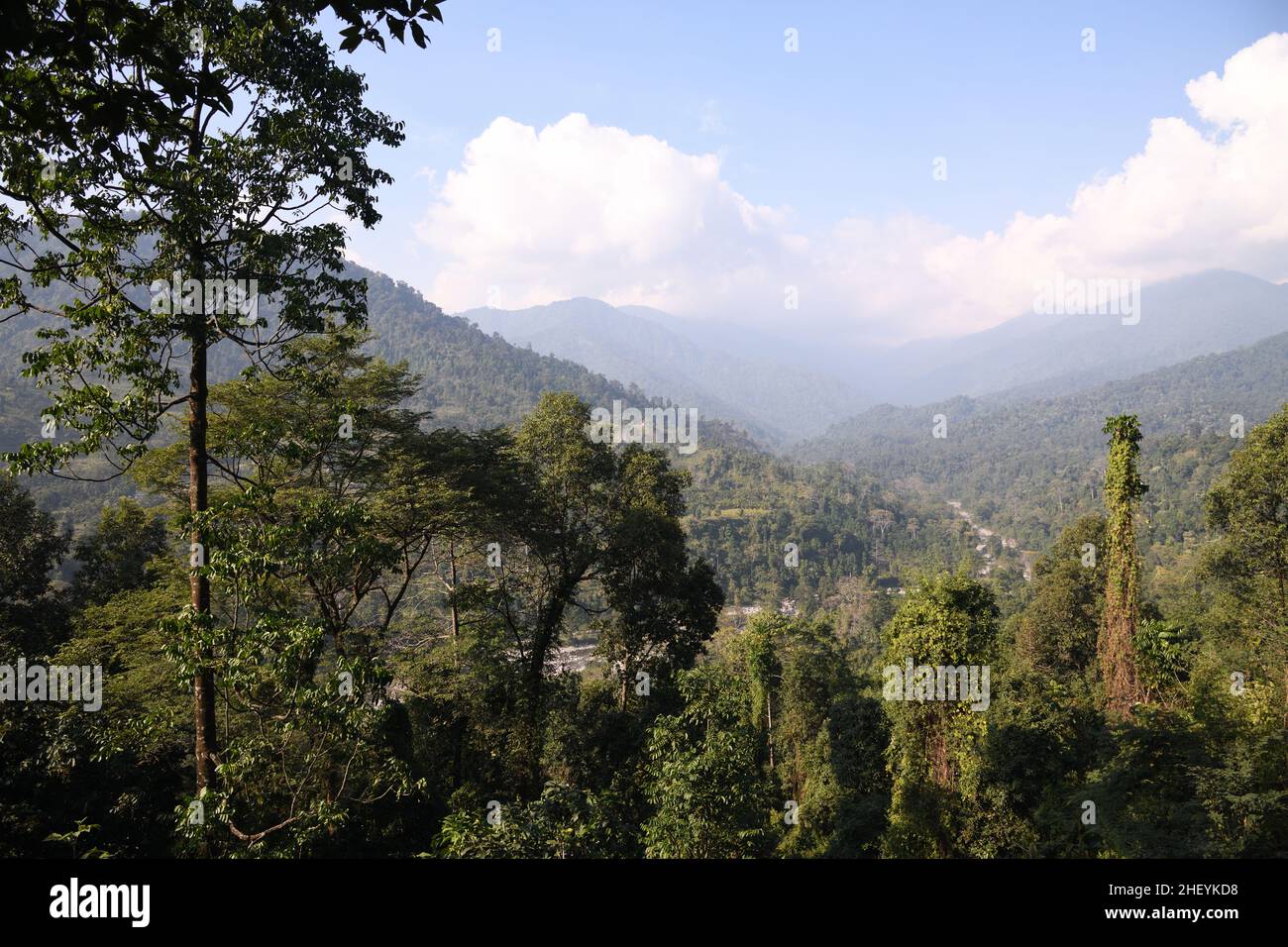 Scenic beauty of Samsing. Kalimpong, West Bengal, India Stock Photo - Alamy