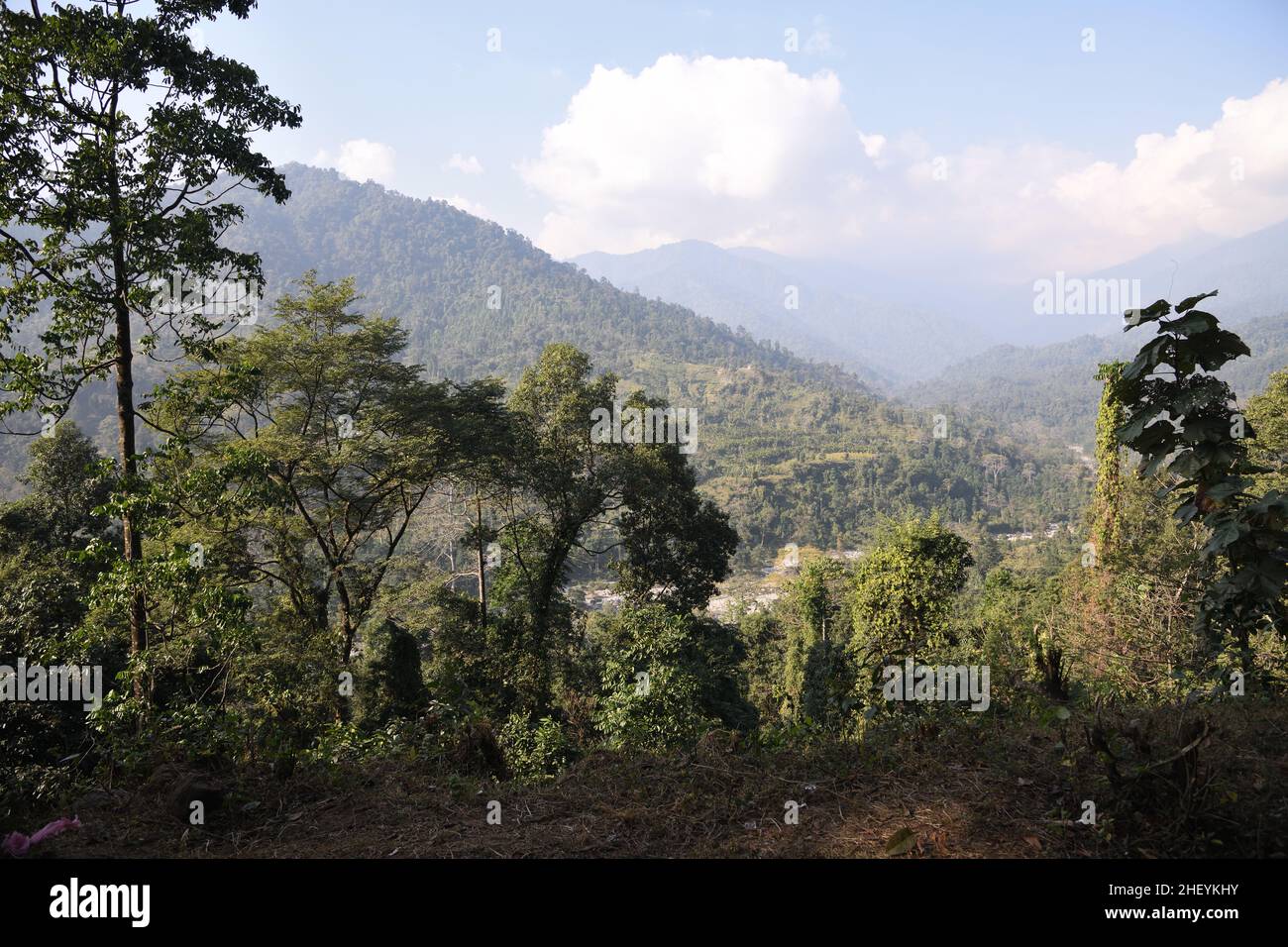 Scenic beauty of Samsing. Kalimpong, West Bengal, India Stock Photo - Alamy