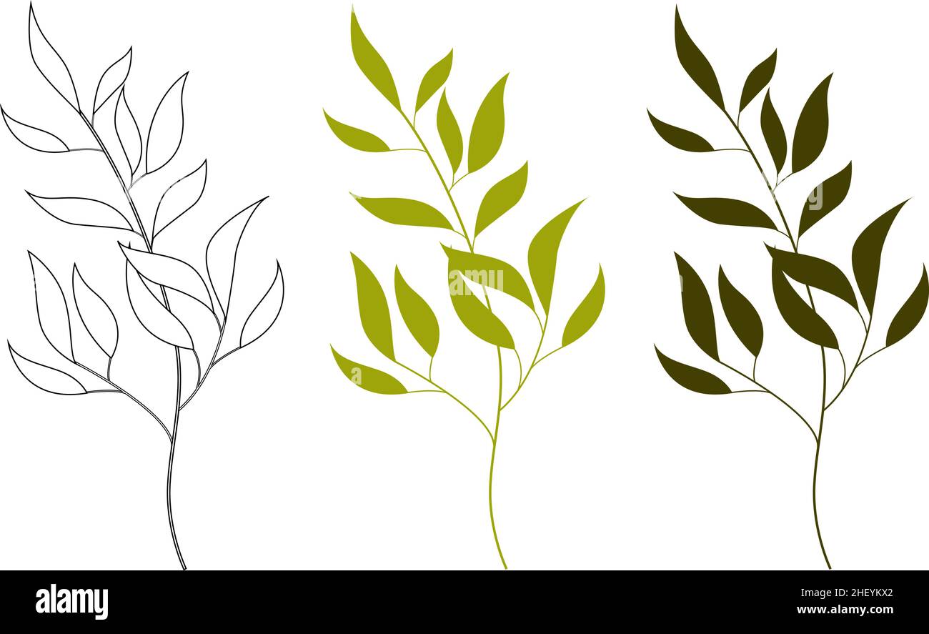 White tree eucalyptus stems Stock Vector Images - Alamy