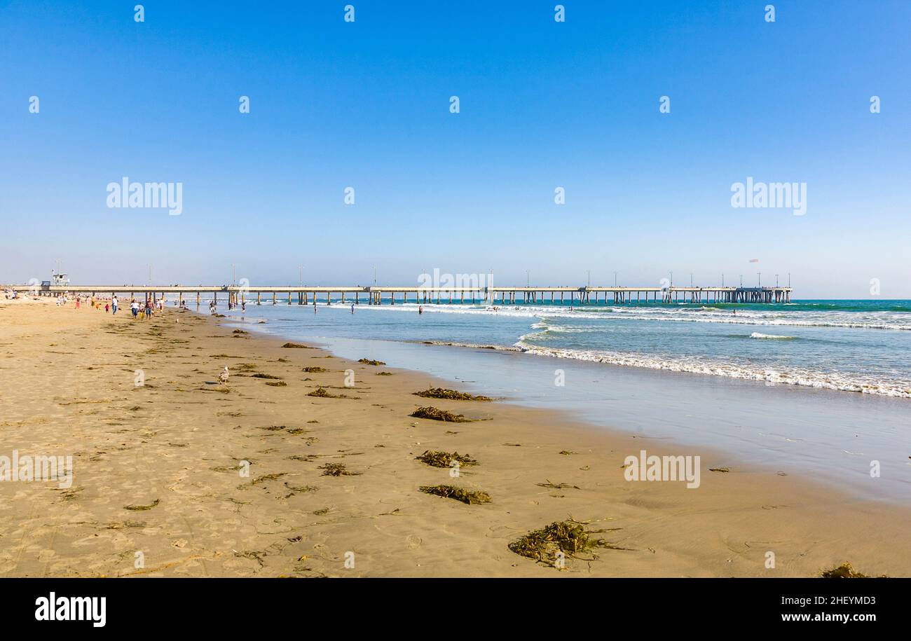 beautiful beach in Venice with the famous Venice Pier in the afternoon ...