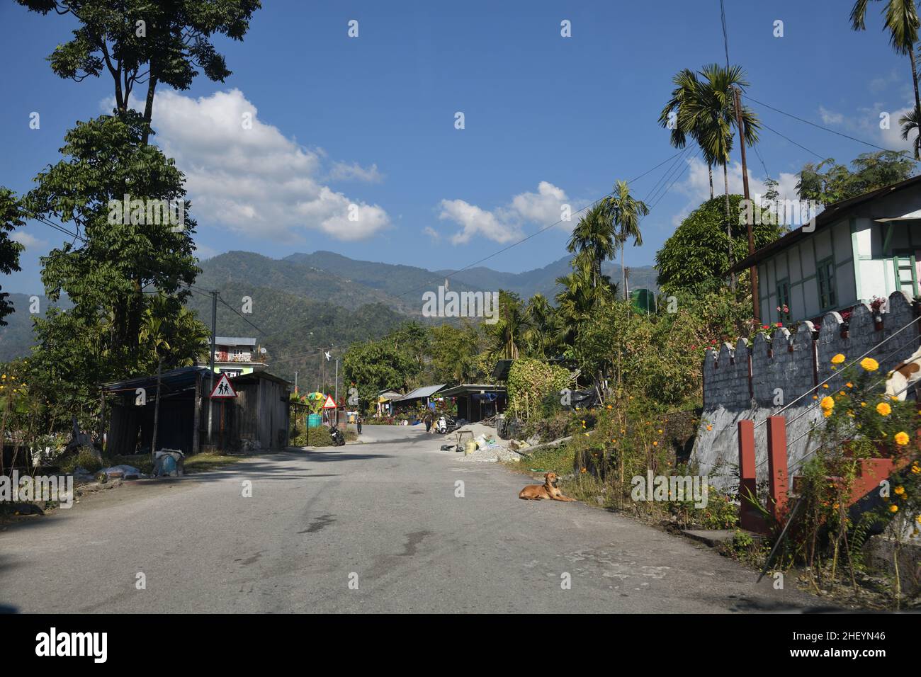 Ambiok Busty. Lava road, Kalimpong, West Bengal, India Stock Photo - Alamy