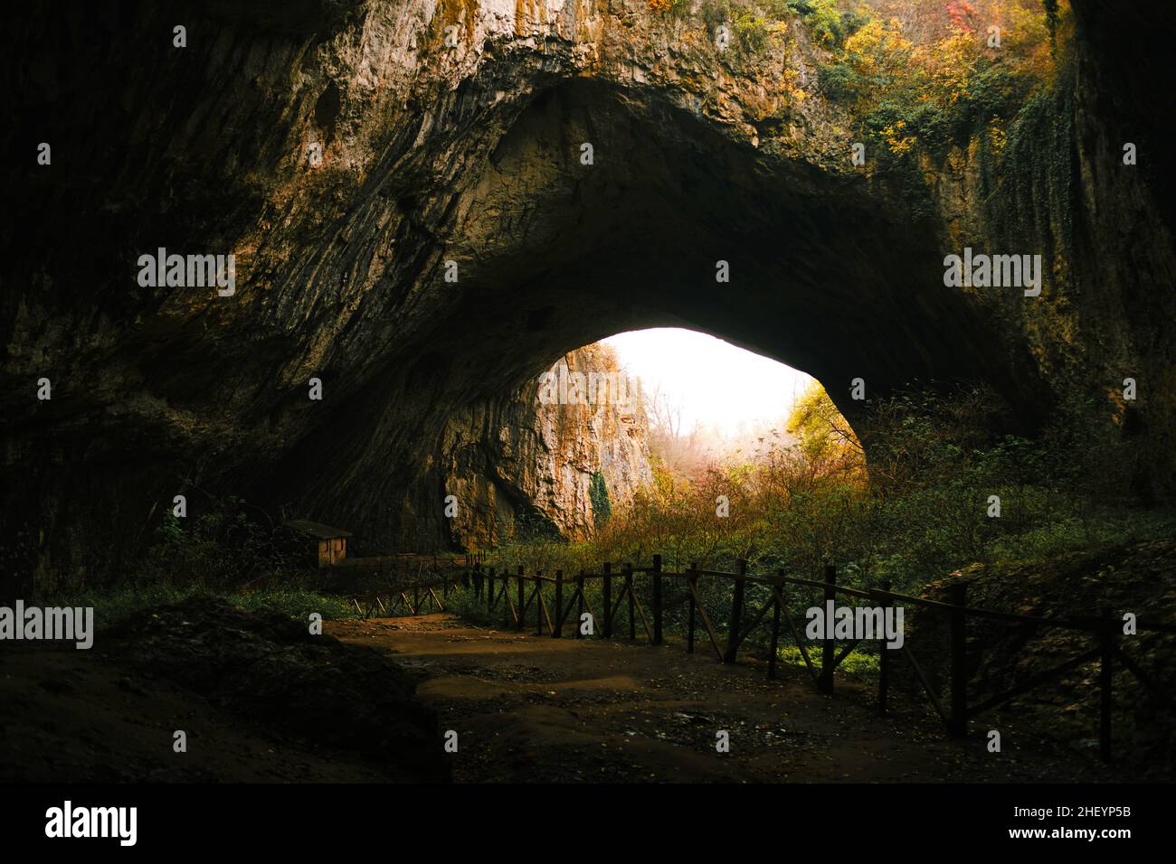 The landscape inside the cave. An ecosystem with a river and trees ...