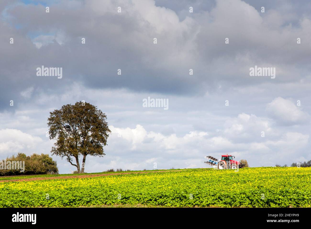 Traktor symbol hi-res stock photography and images - Alamy