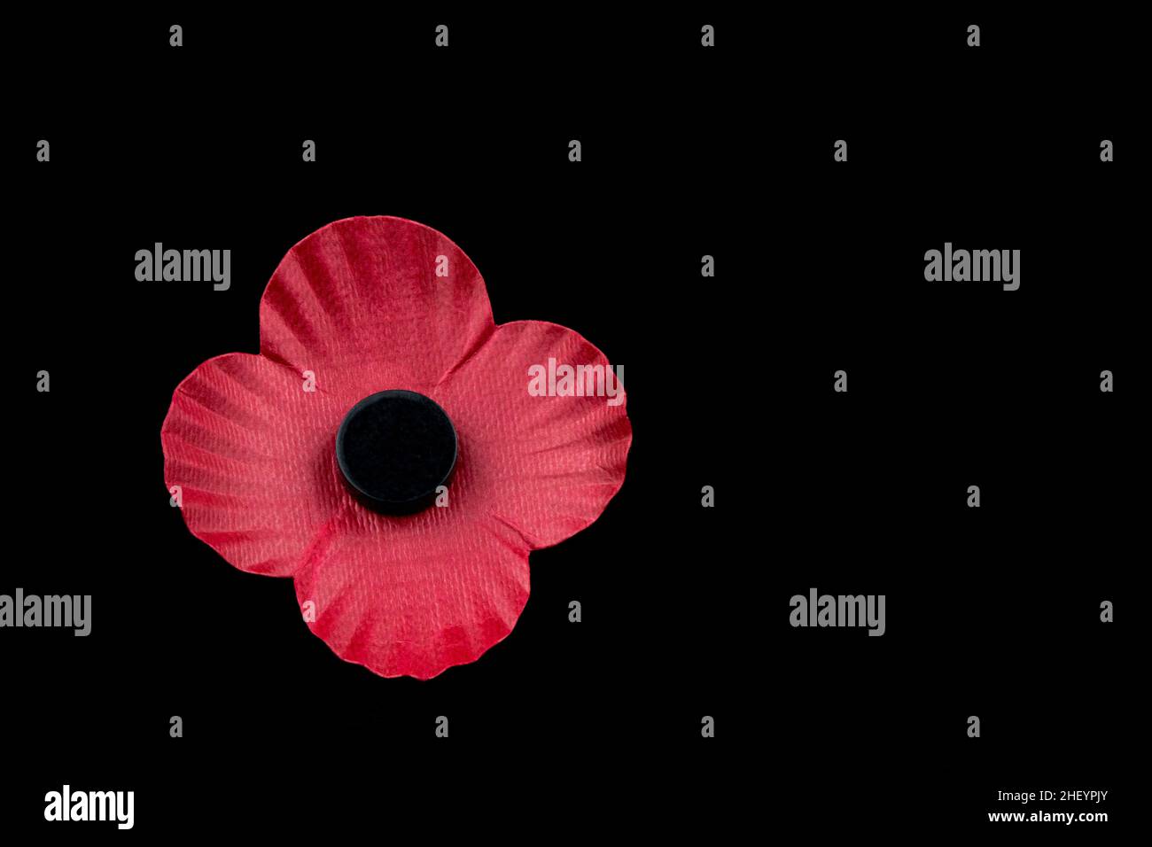 Red remembrance poppy isolated on a black background Stock Photo - Alamy