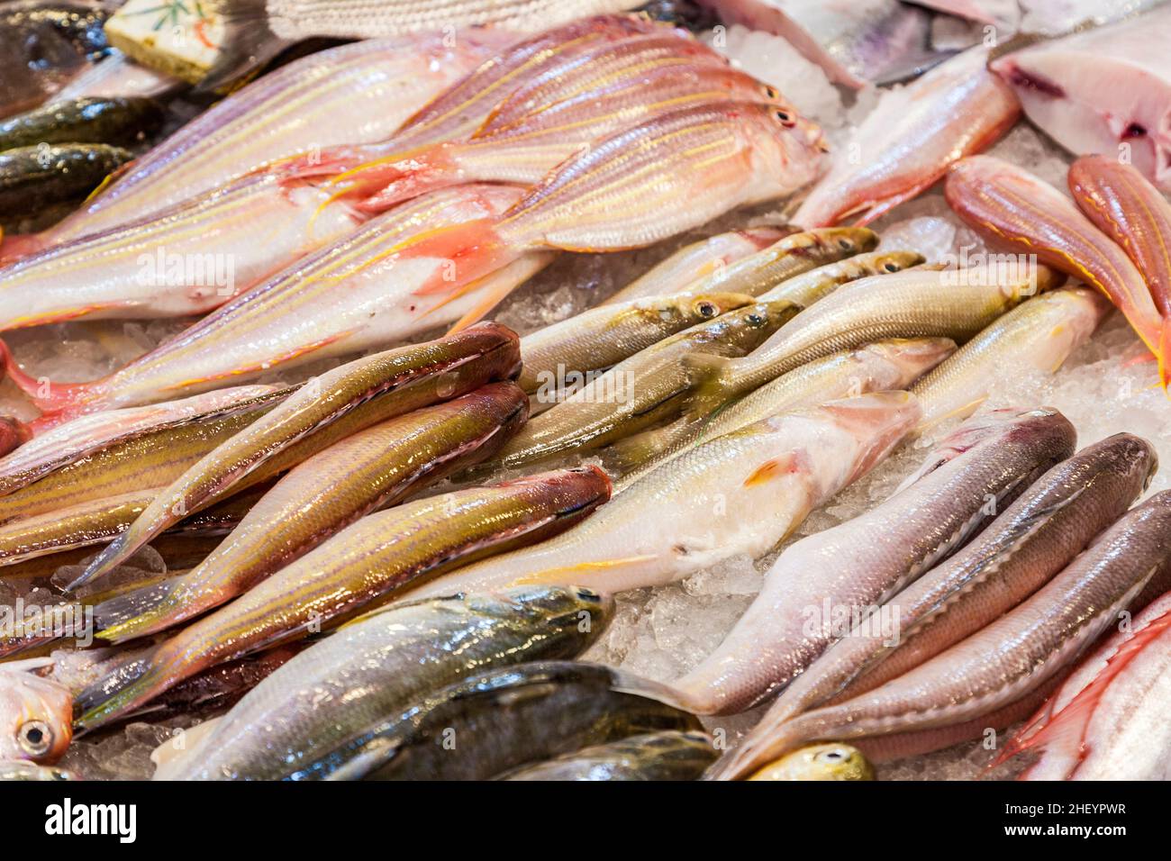 whole fresh fishes are offered in the fish market in asia Stock Photo ...