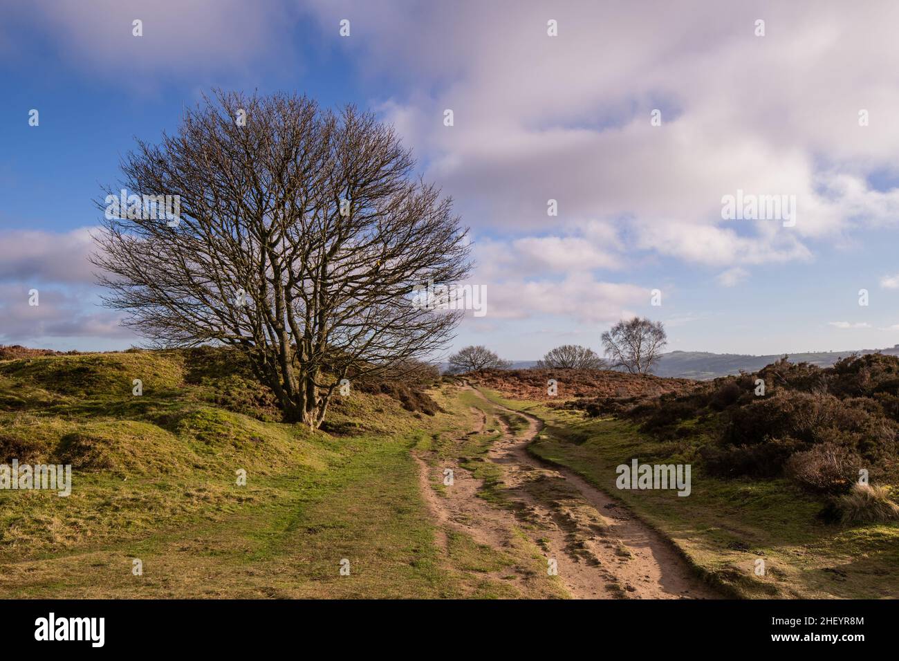 Stanton moor walks hi-res stock photography and images - Alamy