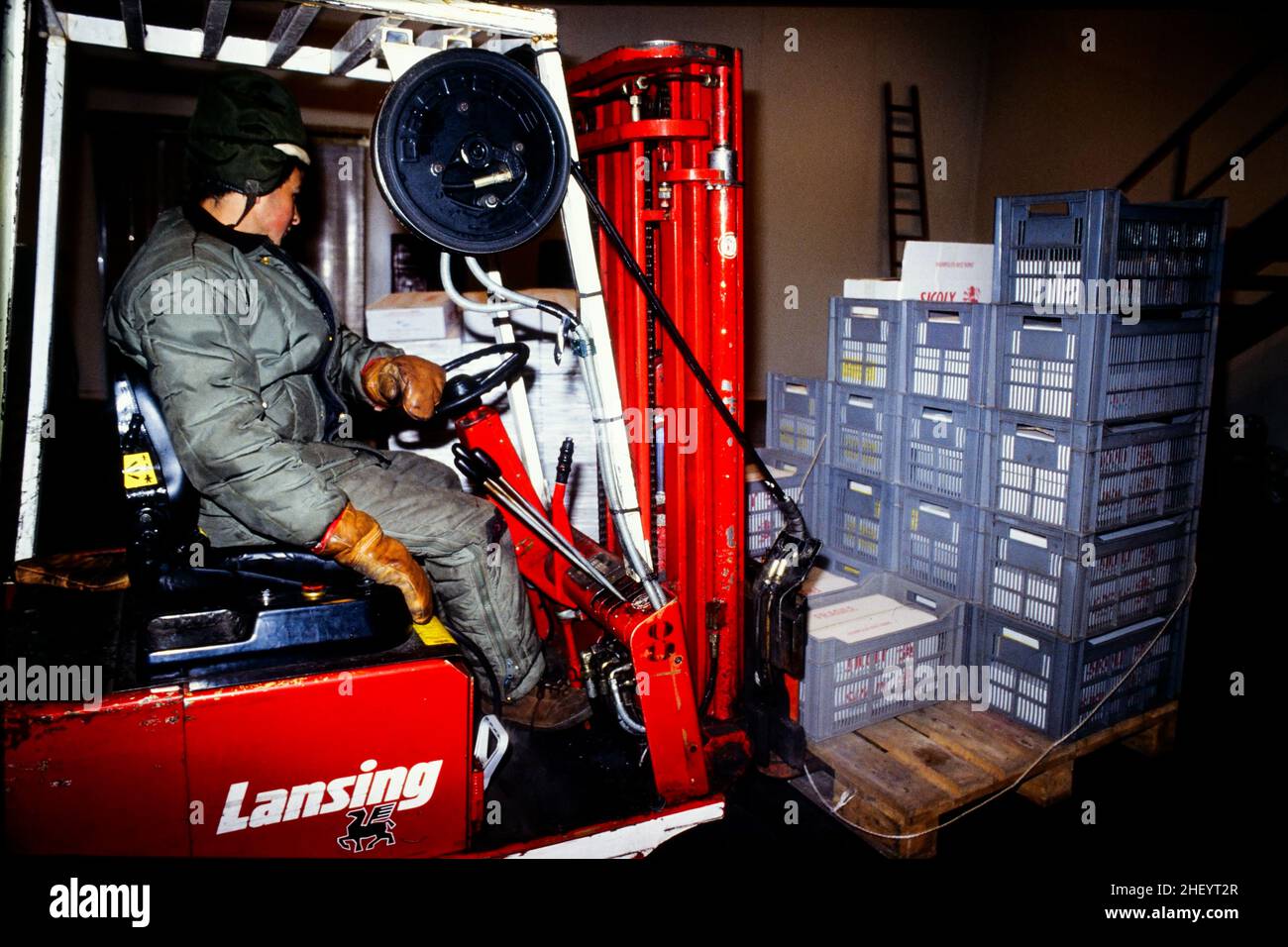 Archives 90ies: forklift operator at work in a cold storage, France ...
