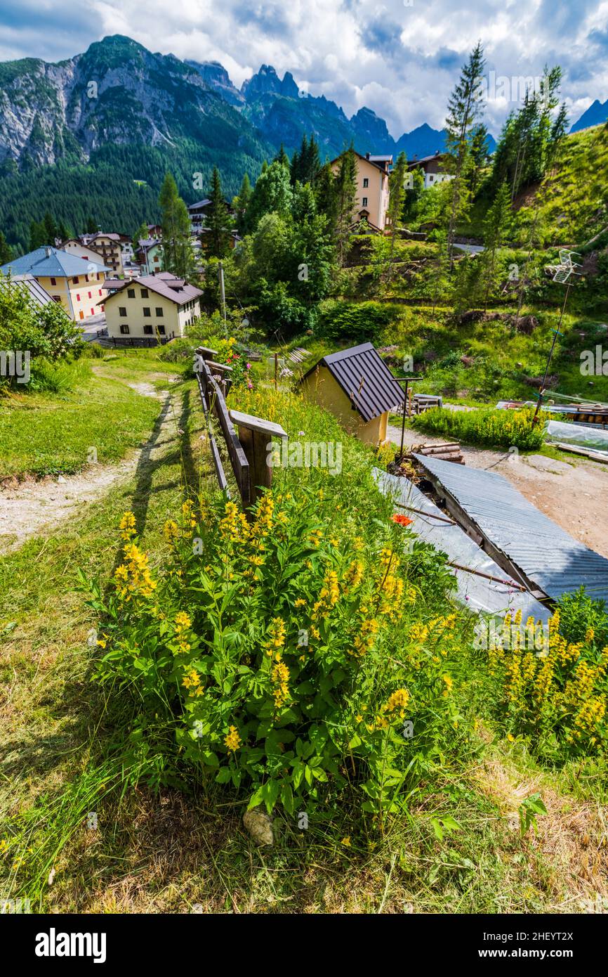 Summer among the paths, waterfalls and the villages of Sappada Stock ...