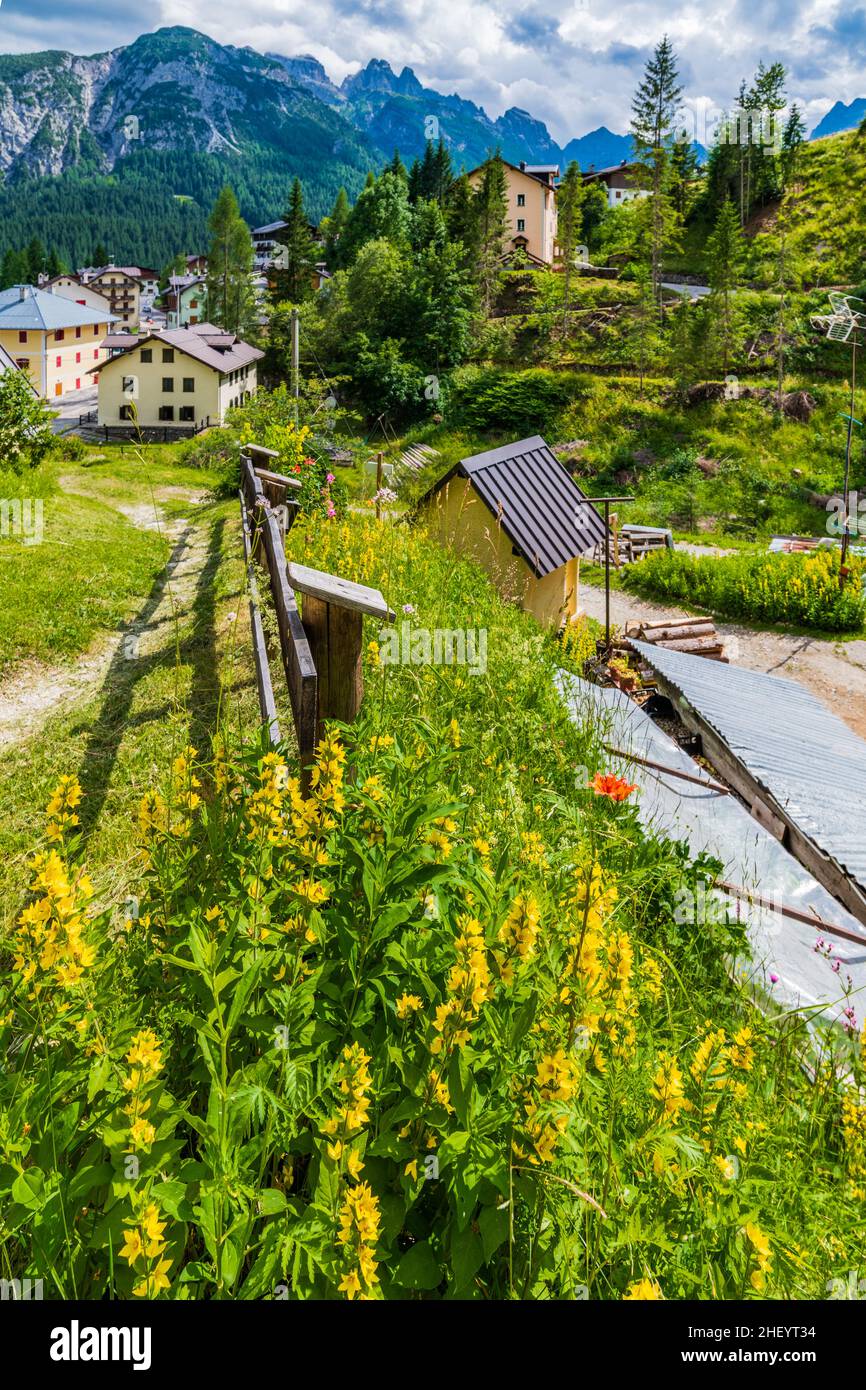 Summer among the paths, waterfalls and the villages of Sappada Stock ...