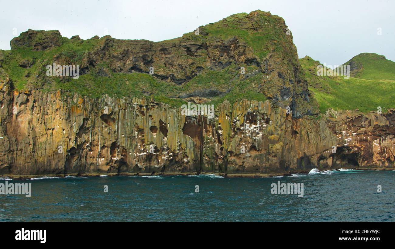 Bird colony on Heimaey Island on Iceland, Europe Stock Photo - Alamy