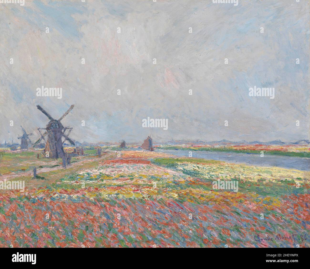 Tulip fields in holland claude monet hi-res stock photography and ...