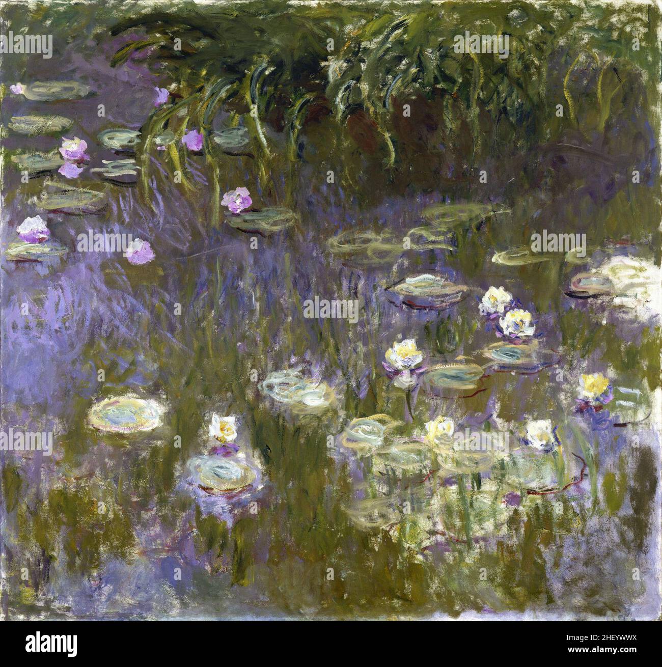 Graphics lilies hi-res stock photography and images - Alamy