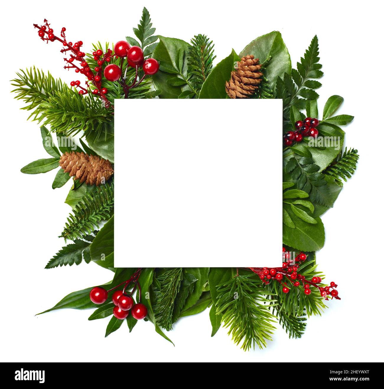 leaf flower greeting card note paper frame background flat lay floral ...