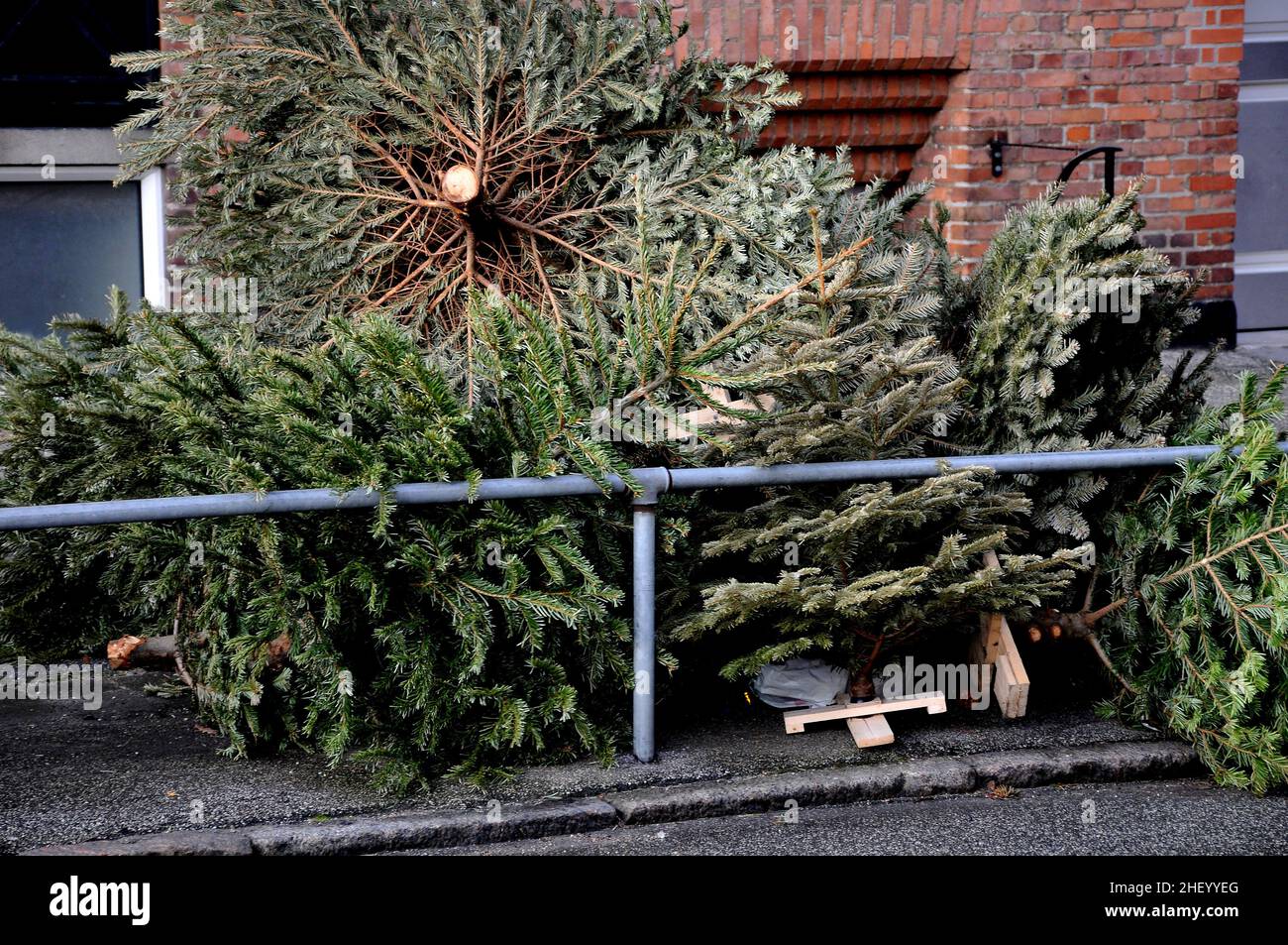 Chritsma tree hi-res stock photography and images - Alamy