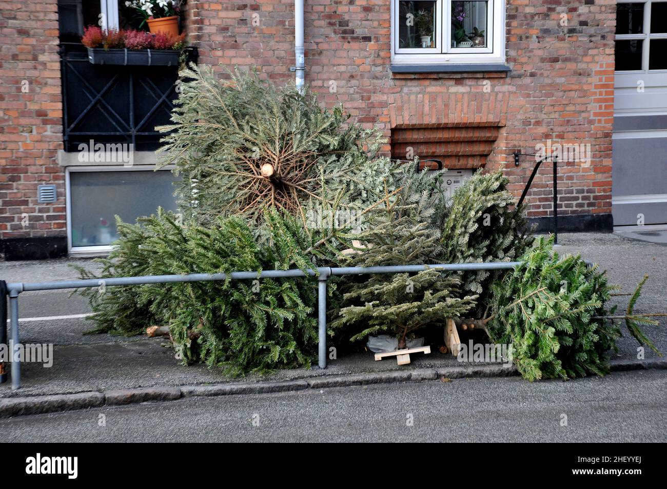 Chritsma tree hi-res stock photography and images - Alamy