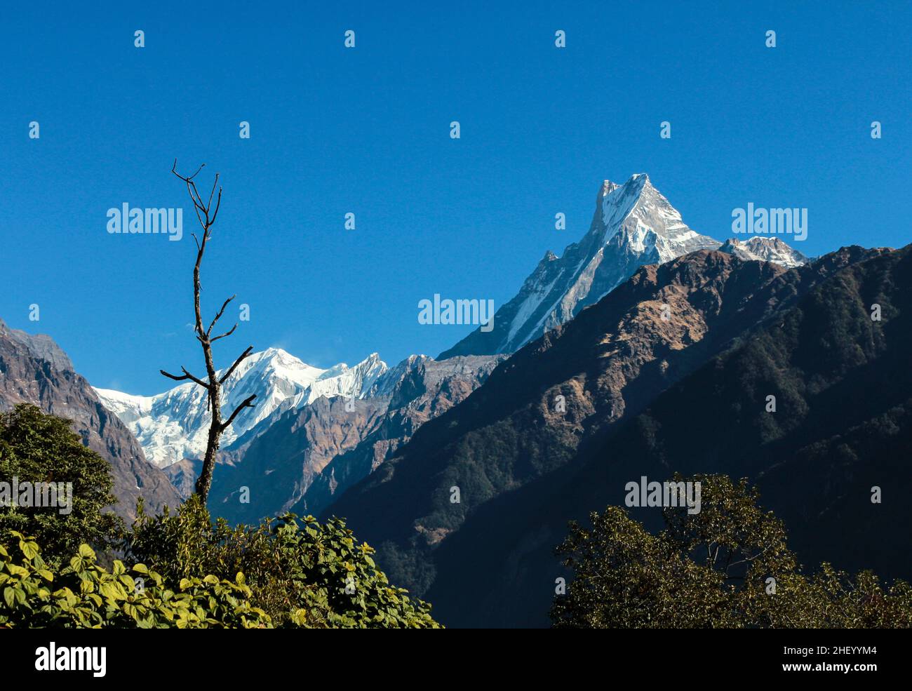 Machapuchare mountain in nepal hi-res stock photography and images - Alamy