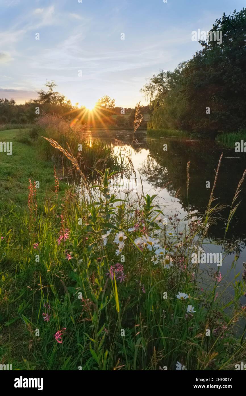 West lexham gardens hi-res stock photography and images - Alamy