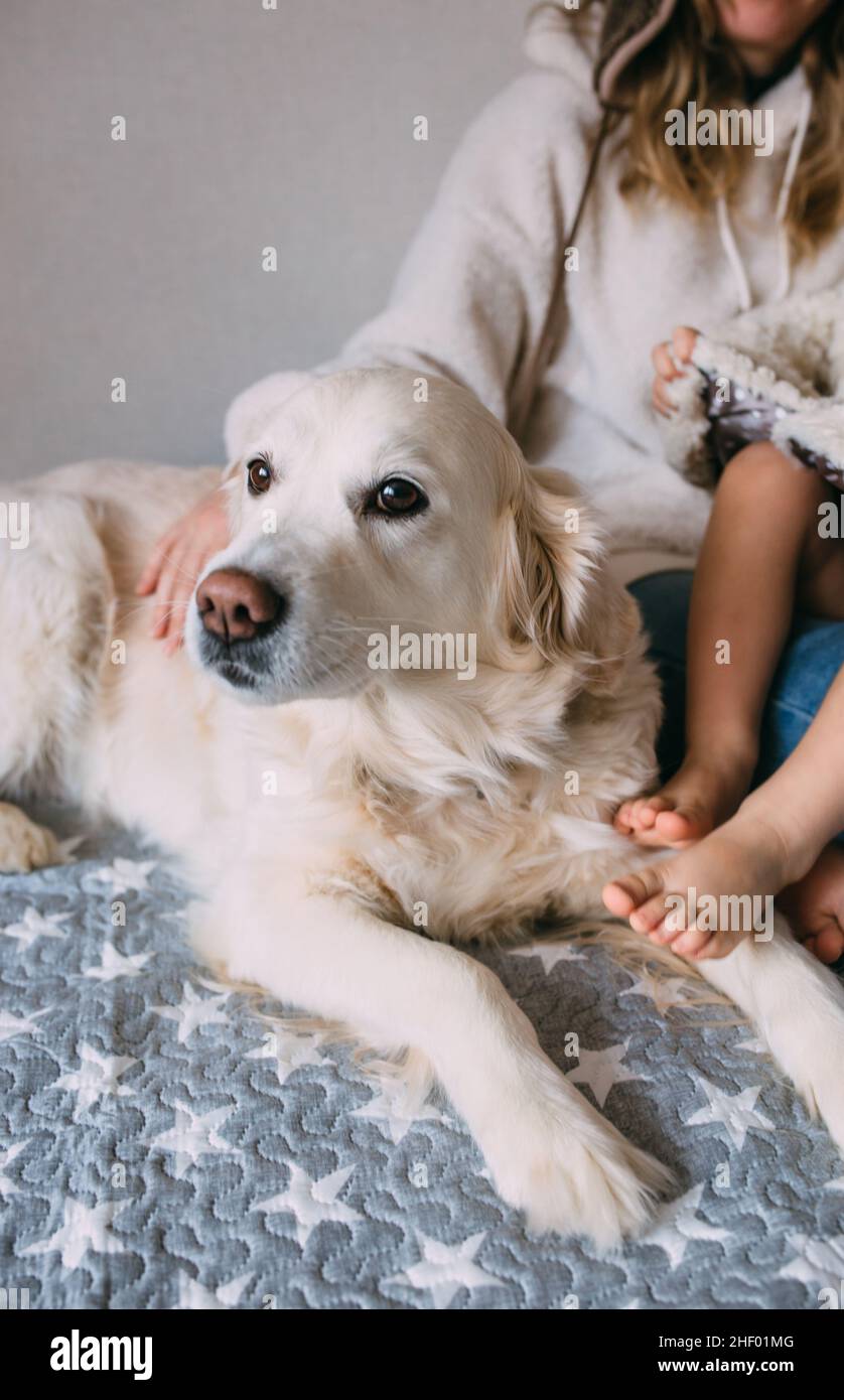 Mom and daughter comfortably cuddle at home with their pet Labrador ...