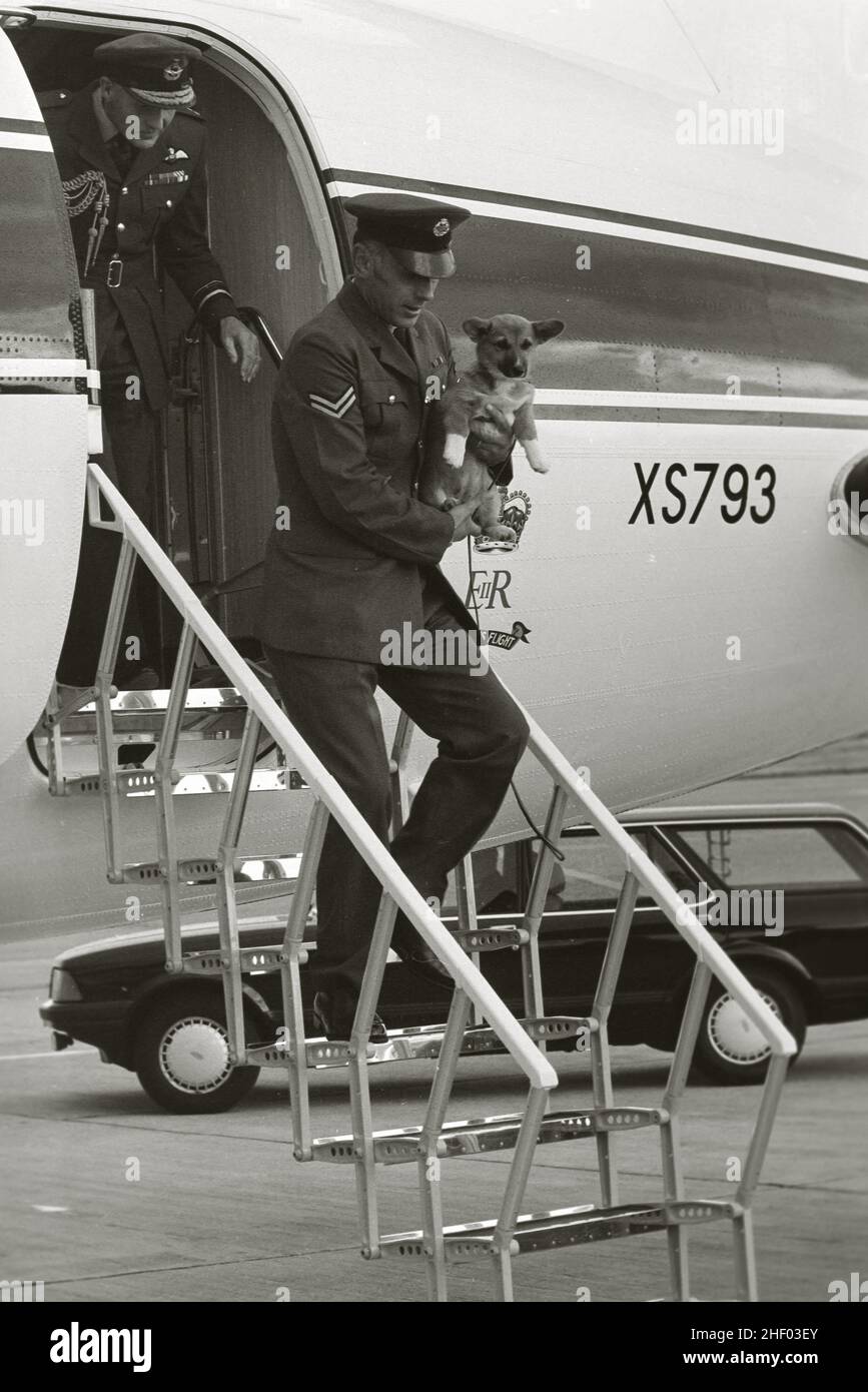 Queens corgis hi-res stock photography and images - Alamy