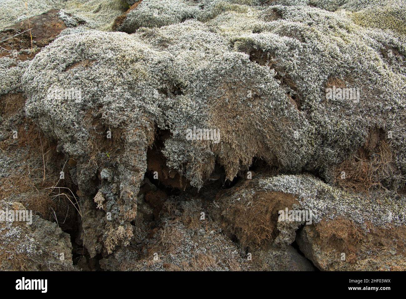 Scenic green lava walk hi-res stock photography and images - Alamy