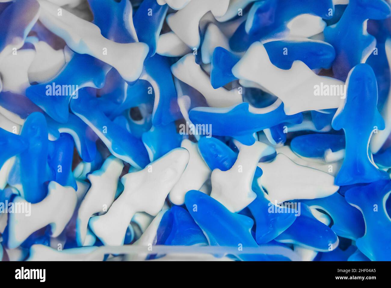 Gummies jelly sweet sugar marmalade white and blue background Stock ...