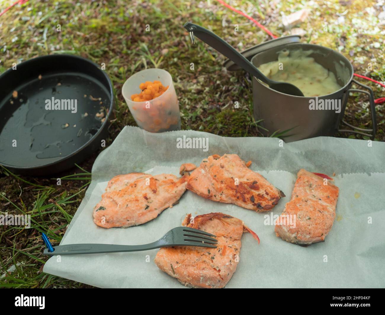 Fried red trout fish fillet of freshly caught arctic char with with ...