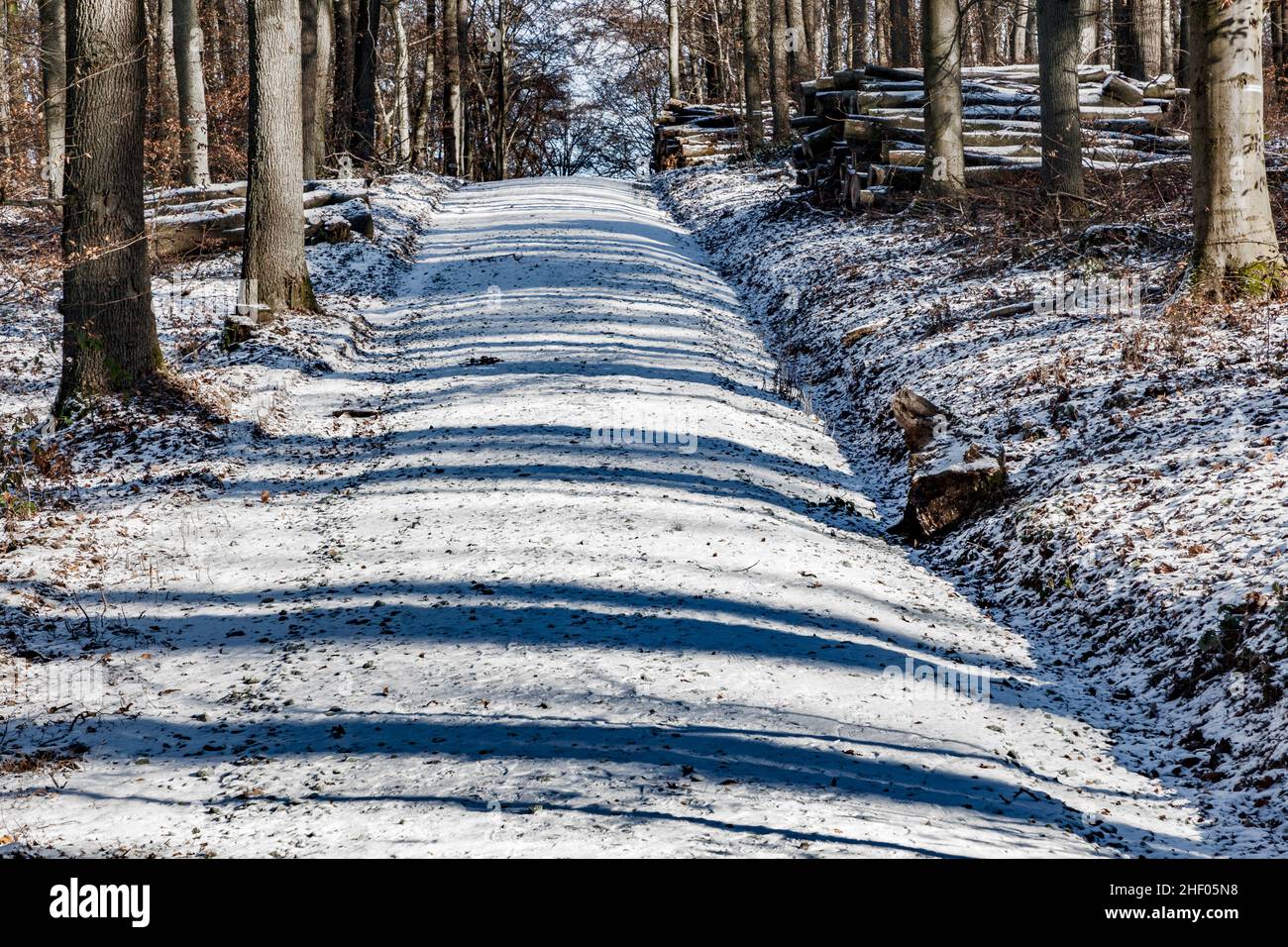 Foreat path hi-res stock photography and images - Alamy