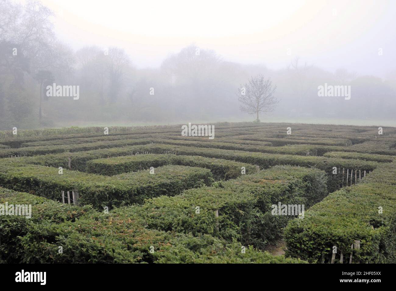 Hedge maze hi-res stock photography and images - Alamy