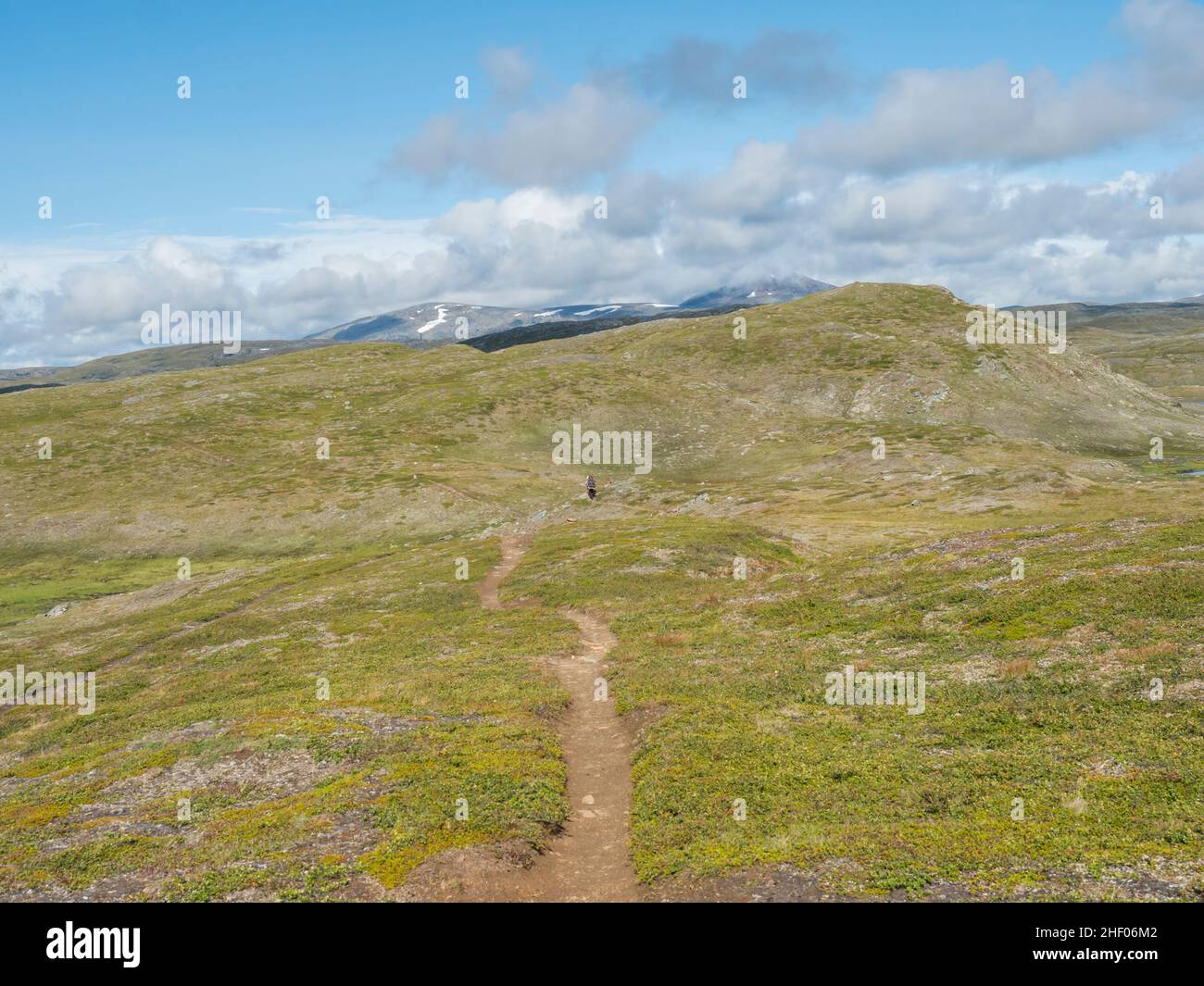 Footpath in northern artic landscape, tundra in Swedish Lapland with ...
