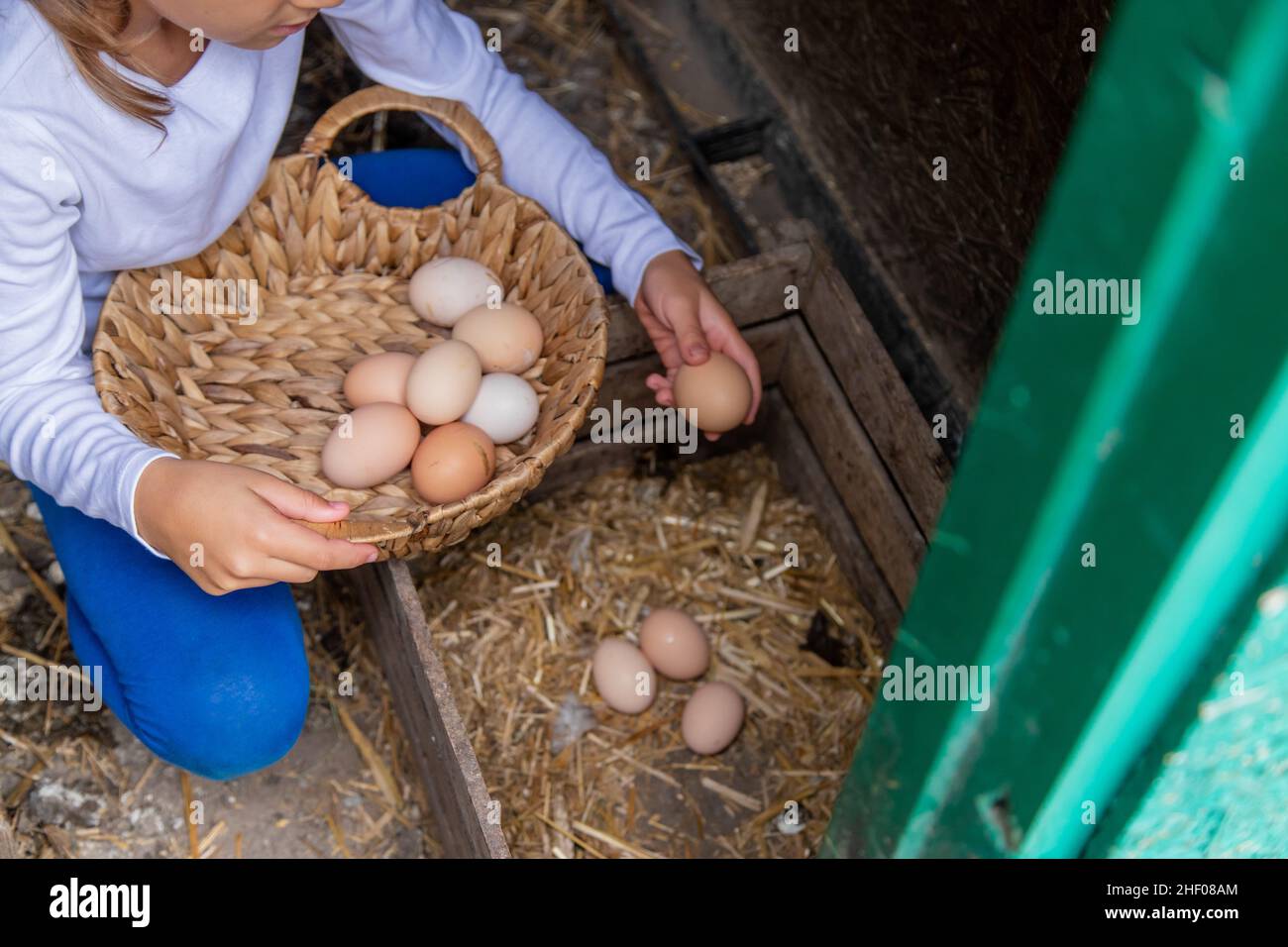 Child picks shell hi-res stock photography and images - Alamy