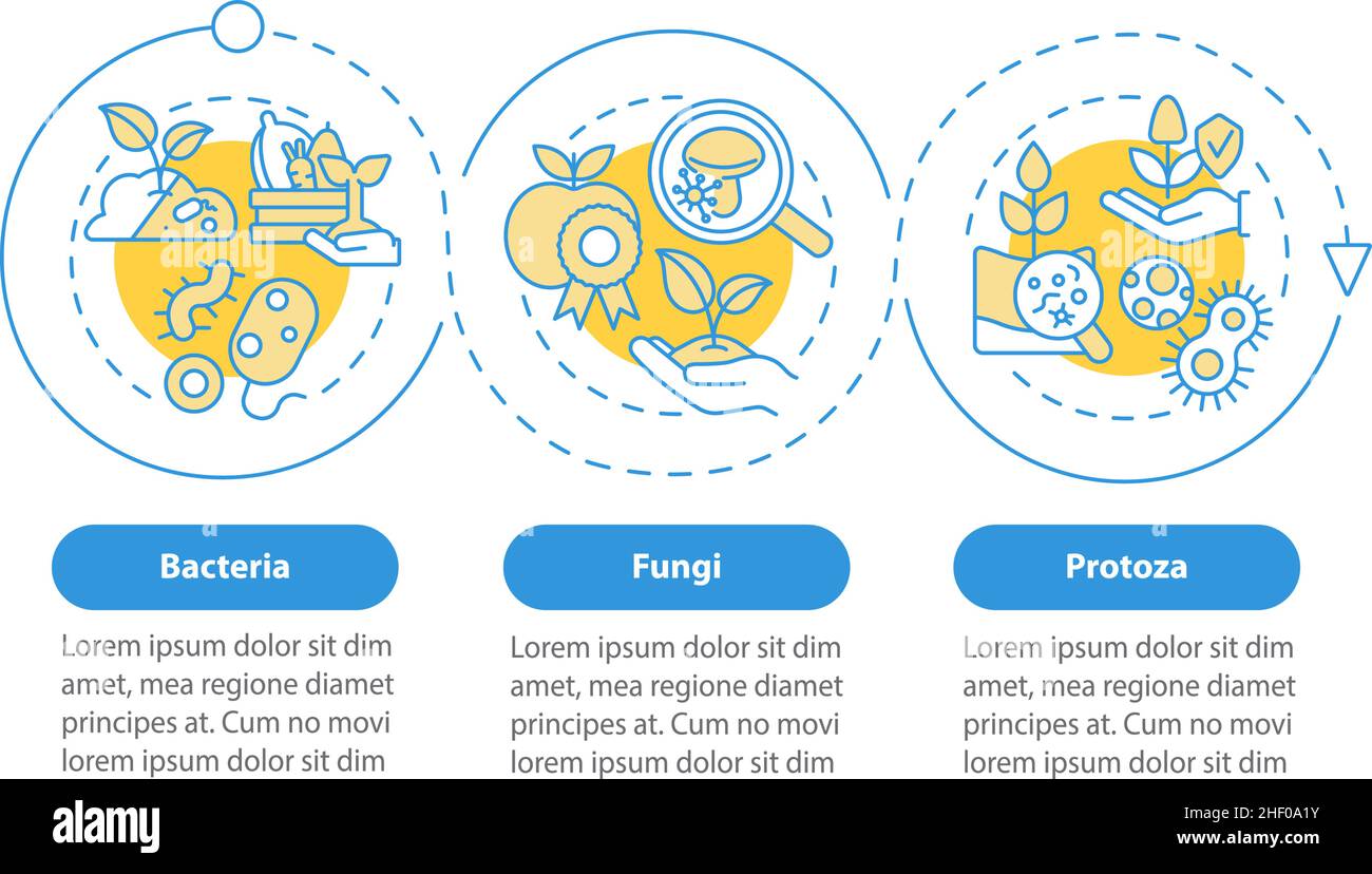 Managing soil microbes blue circle infographic template Stock Vector ...
