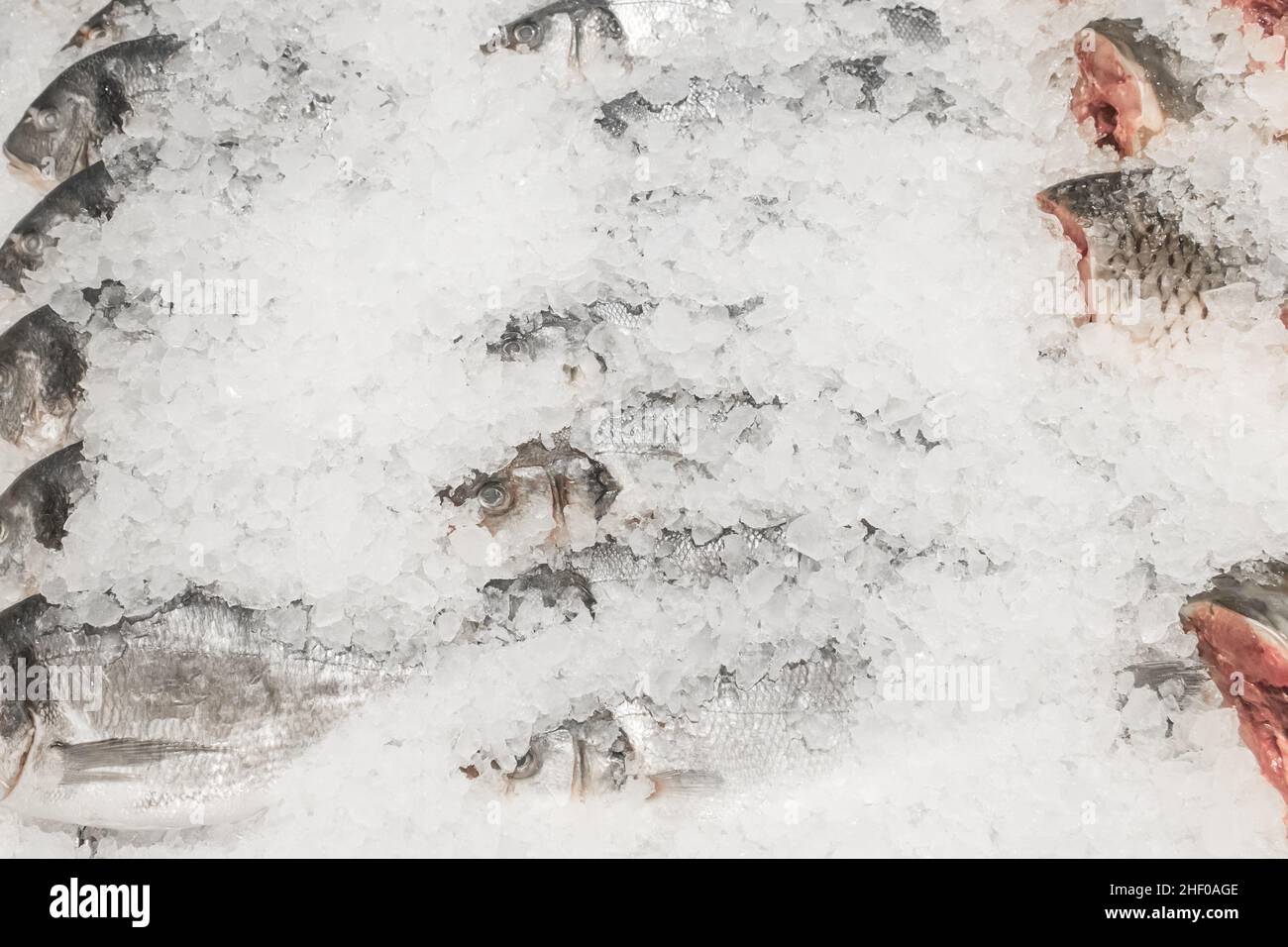 Supermarket fish counter hi-res stock photography and images - Alamy