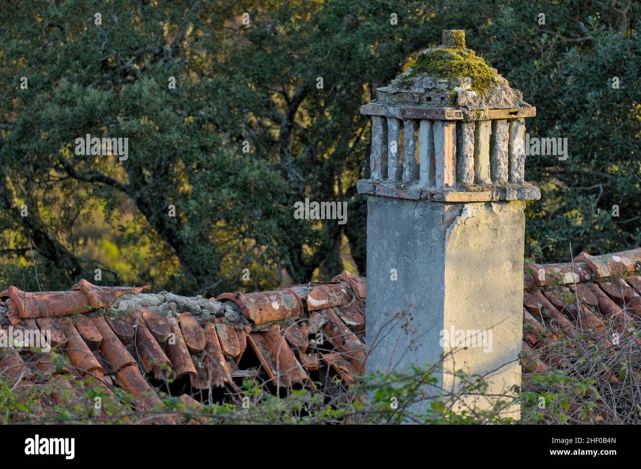 Old chimney abandoned house hi-res stock photography and images - Alamy