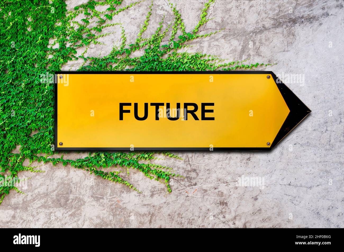 Future on yellow sign hanging on ivy wall Stock Photo - Alamy